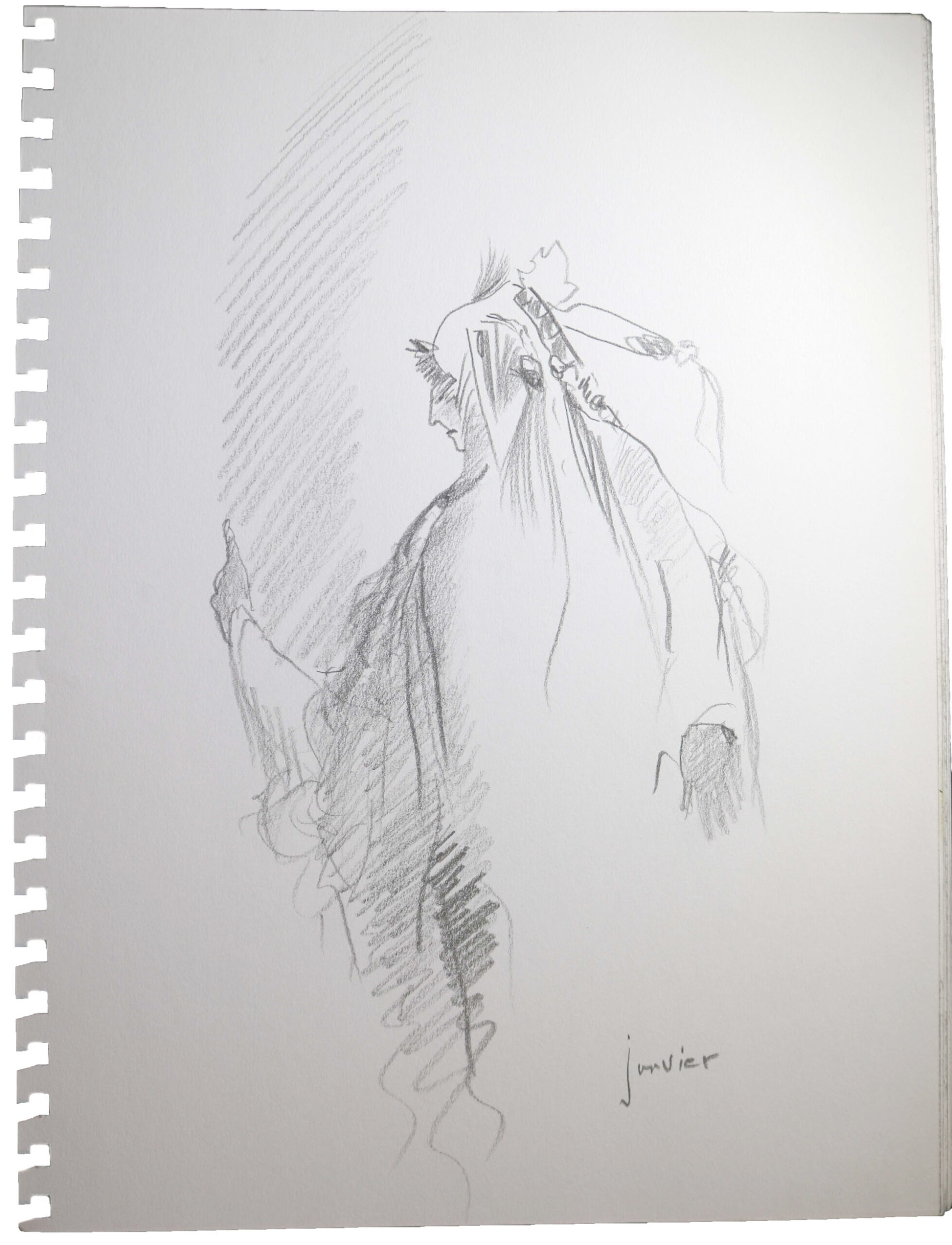 Homepage | Alex Janvier